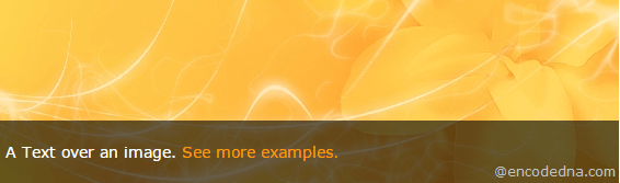 How To Add A Transparent Text Over Image Using CSS