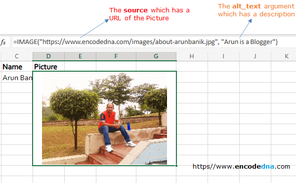 Excel IMAGE Function Now Insert A Picture In A Cell Using A Formula